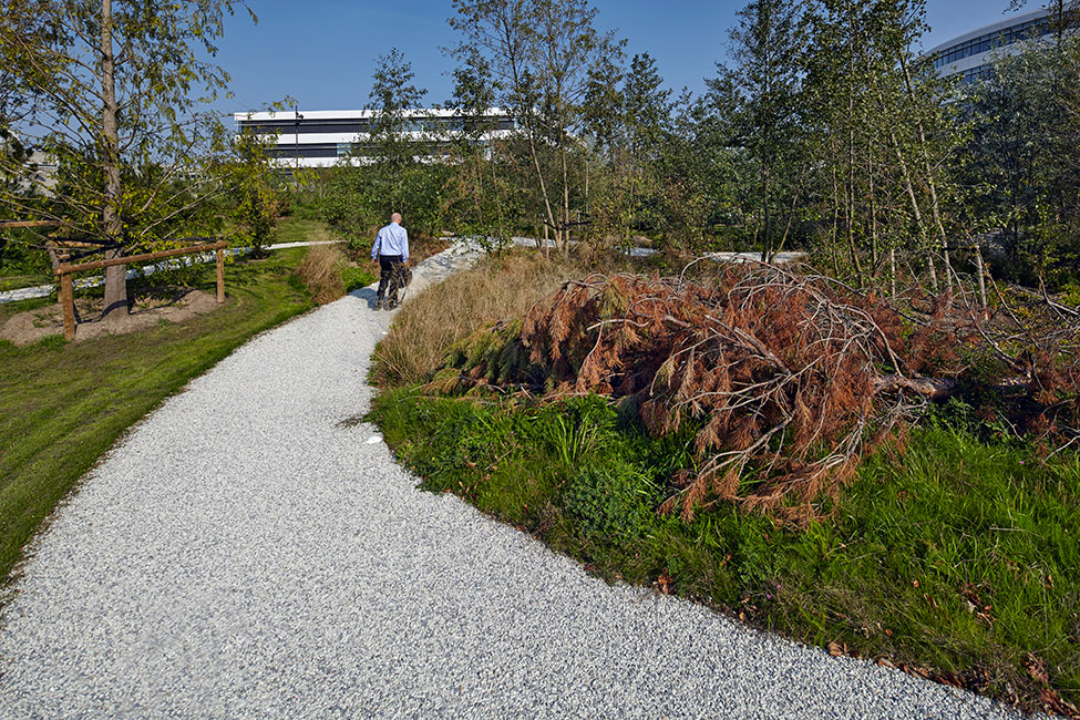 丹麦Novo Nordisk自然公园-公园案例-筑龙园林景观论坛